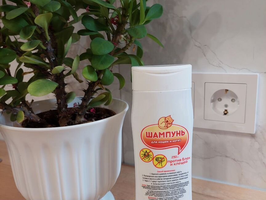 Шампунь для кошек и котят