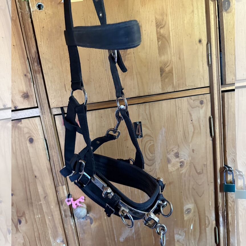 Капцунг для лошади