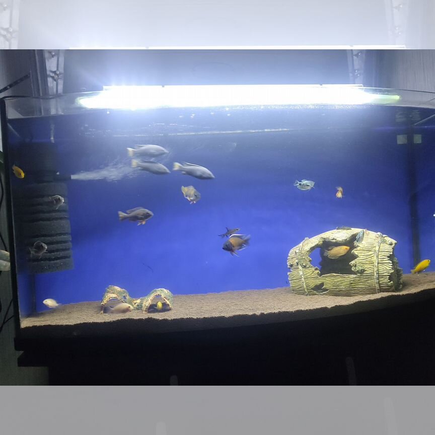 Аквариум с тумбой