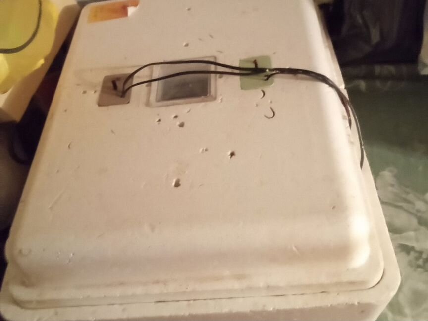 Инкубатор би-1(би-2)