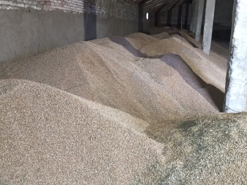 Зерно фуражное