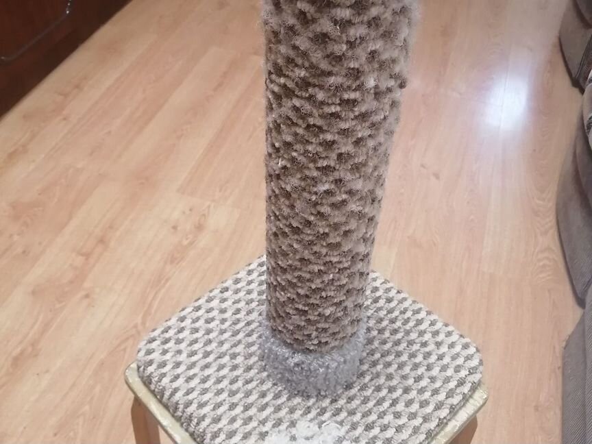 Когтеточка