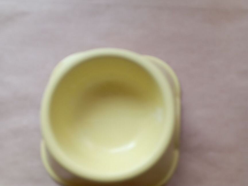 Мисочки для улиток