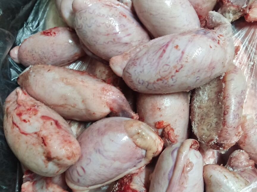 Мясо говядина для собак