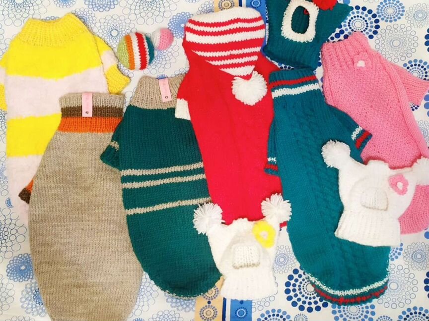 Одежда для животных мелких пород