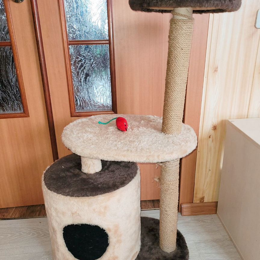 Когтеточка домик для кошки бу