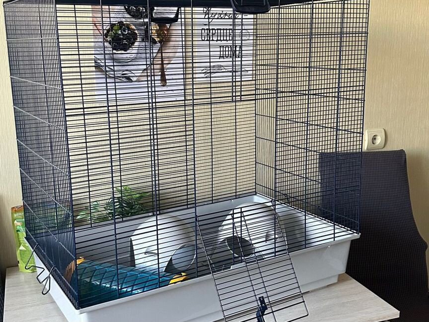 Клетка для грызунов savic chinchi 2 50x80x50