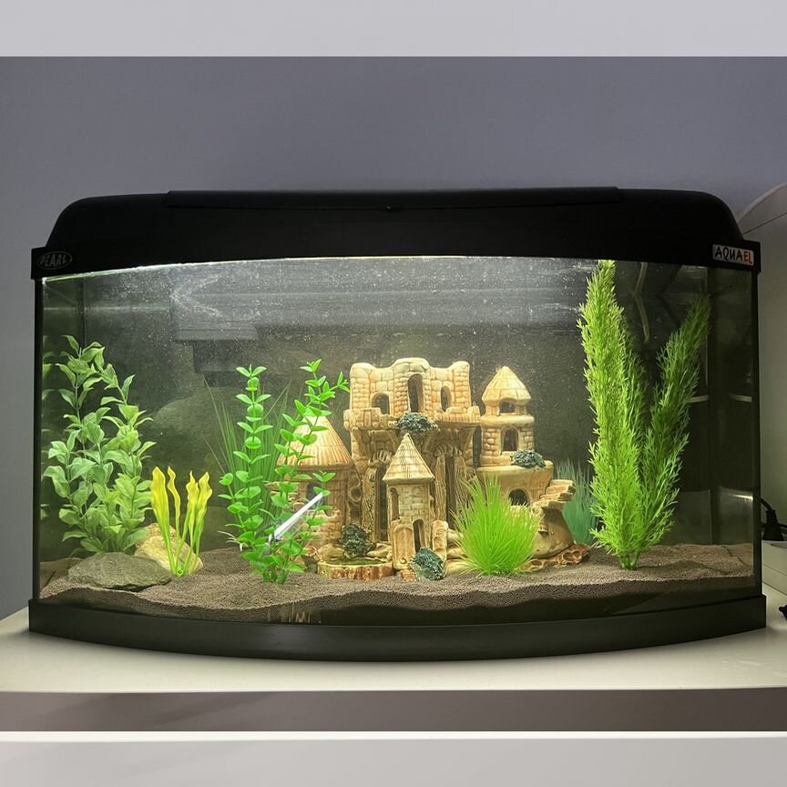 Аквариум