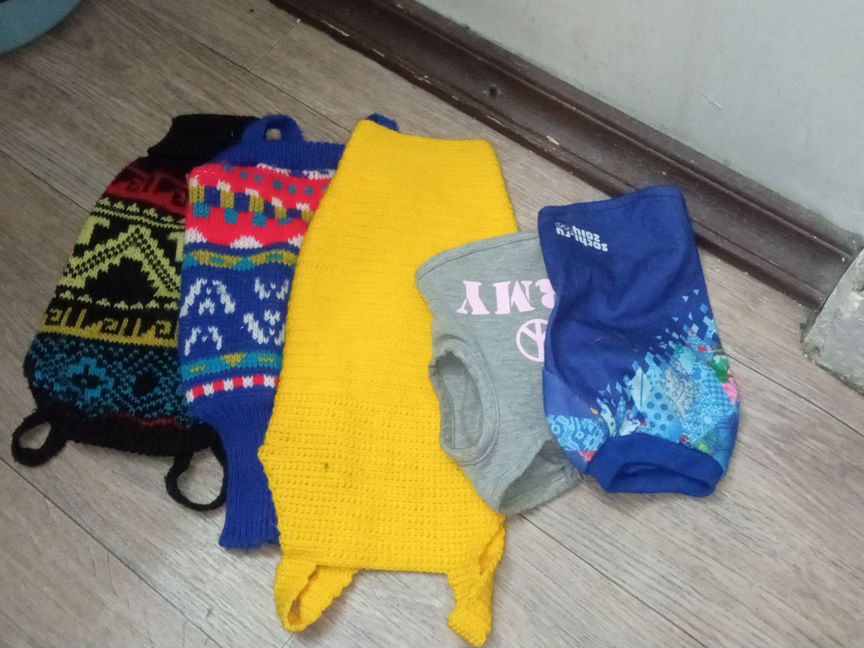 Одежда для кошек и собак мелкой породы