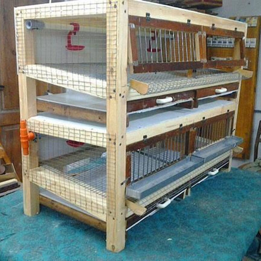 Клетки для перепелов бу