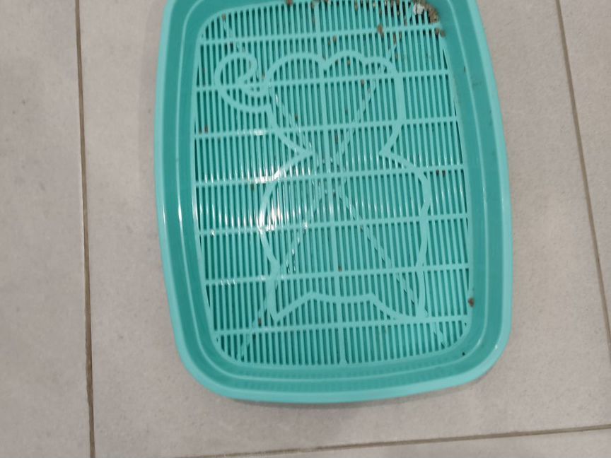 Лоток для кошек