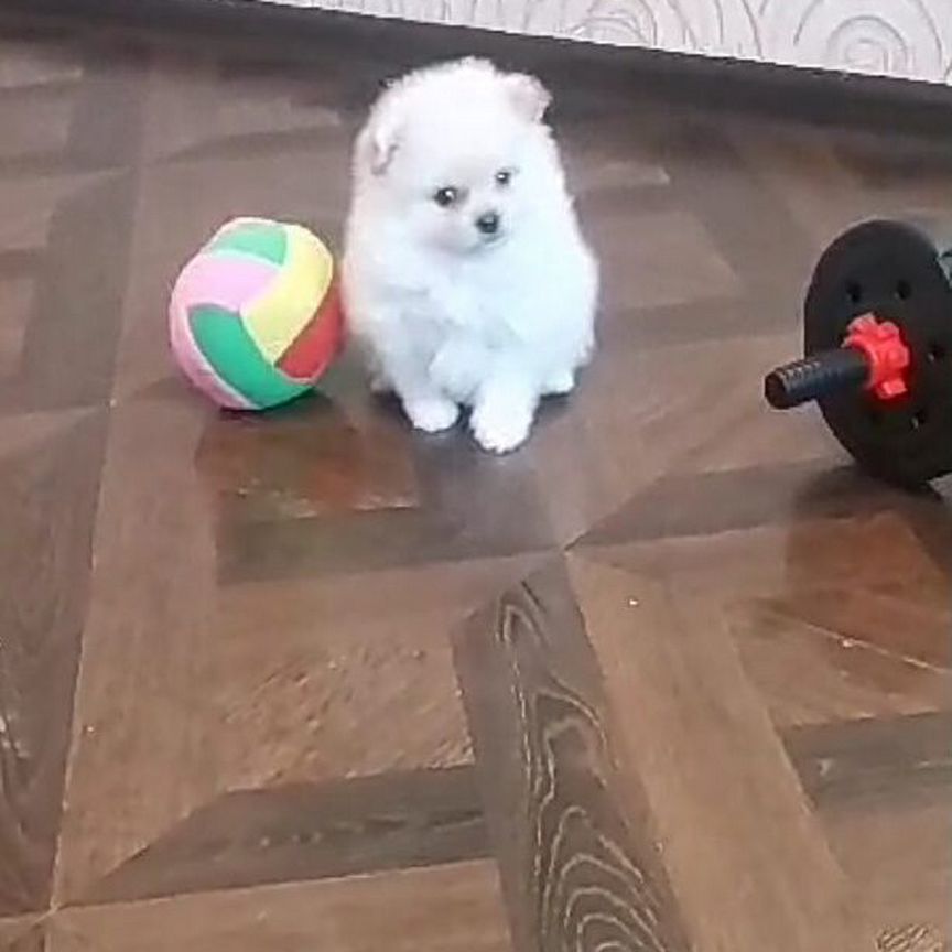 Мальчиш