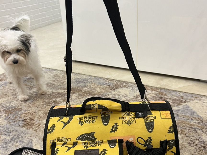 Lion Сумка переноска для Животных