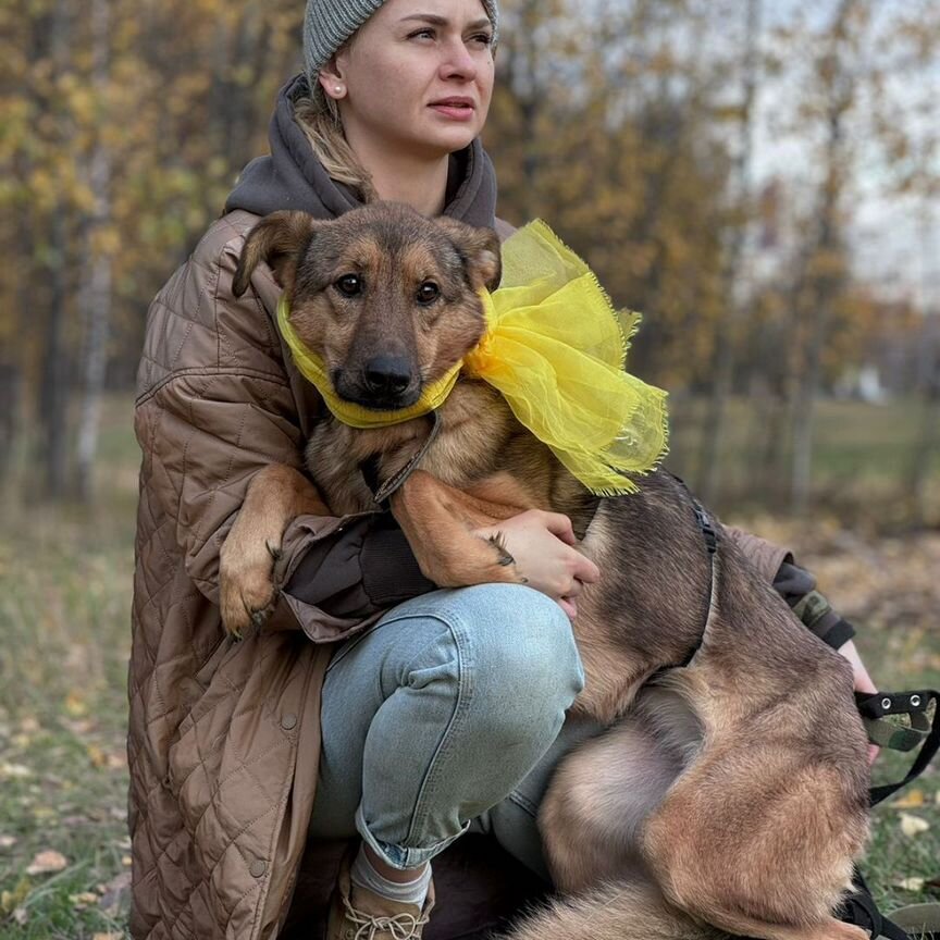 Помогите выжить в приюте
