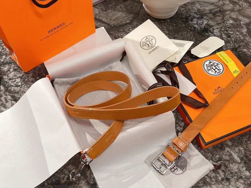 Ошейник и поводок для собаки Hermes 76