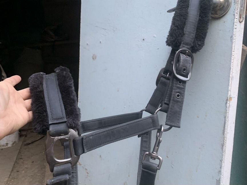 Продам конную амуницию