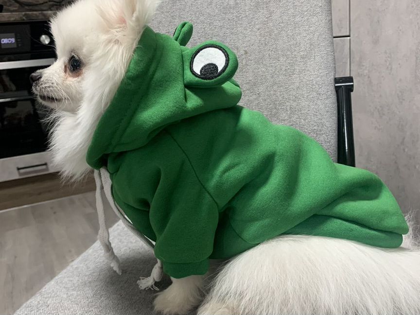 Костюм для животных