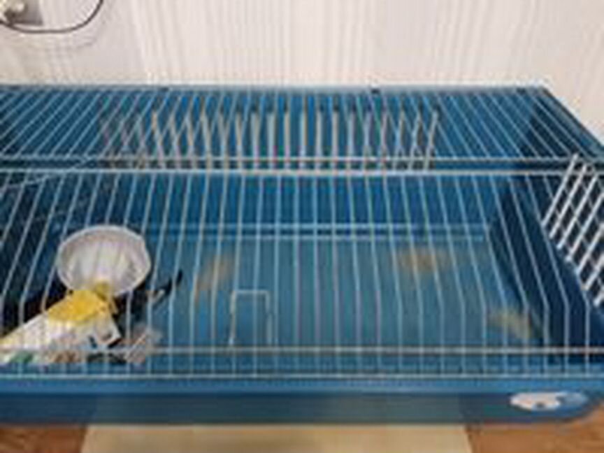 Клетки для грызунов ferplast deluxe+ аксессуары