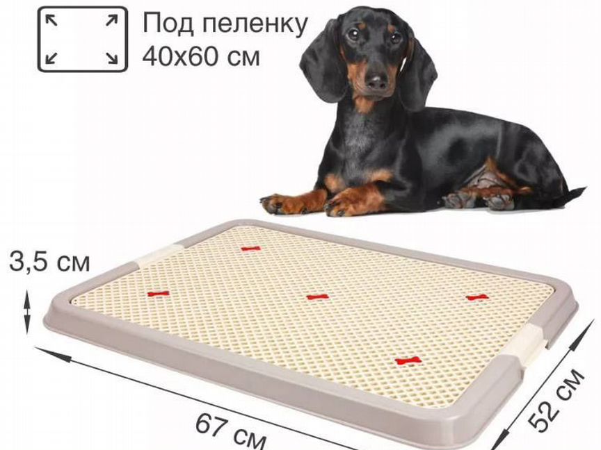 Лоток для собак