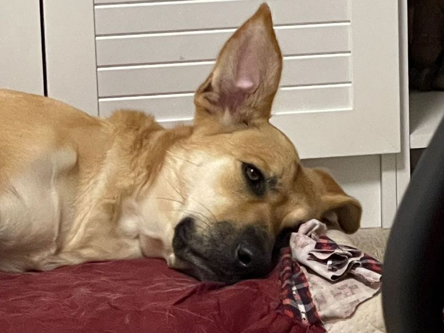 Позитивчик Моника в заботливые ручки