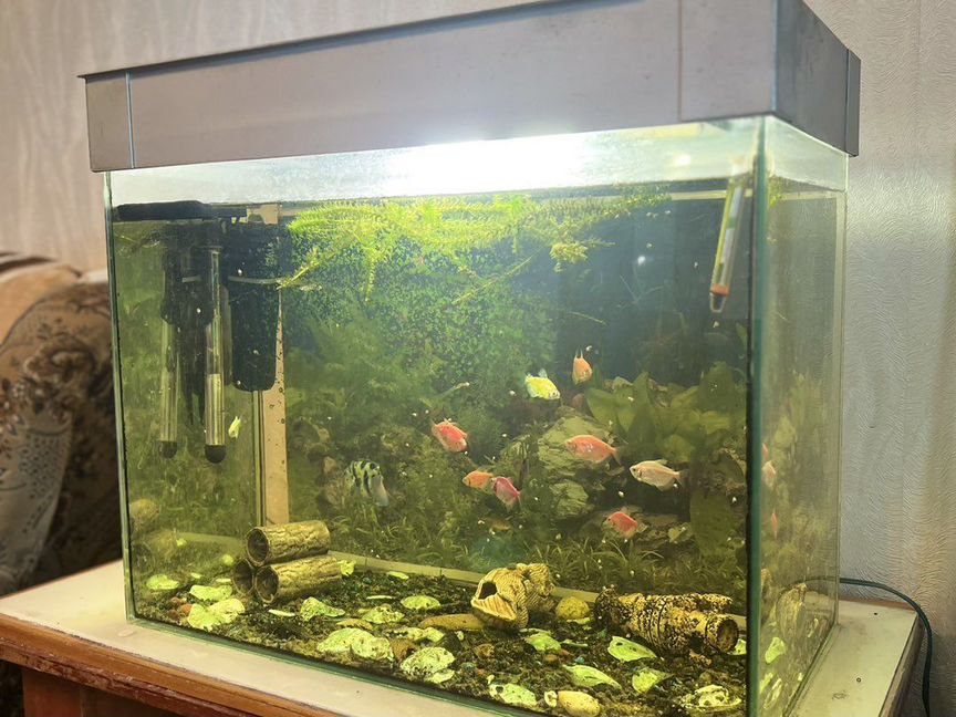 Аквариум с рыбками и тумбой