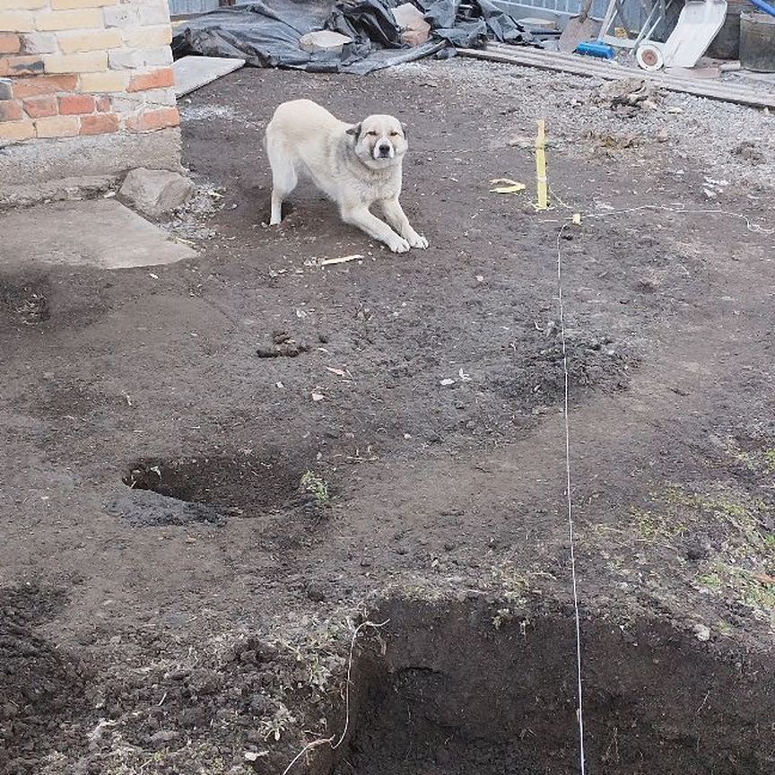Отдам бесплатно в хорошие руки