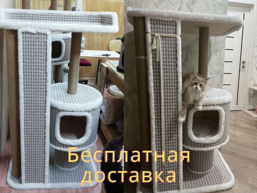 Когтеточка