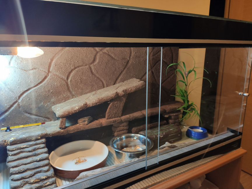 Террариум для рептилий