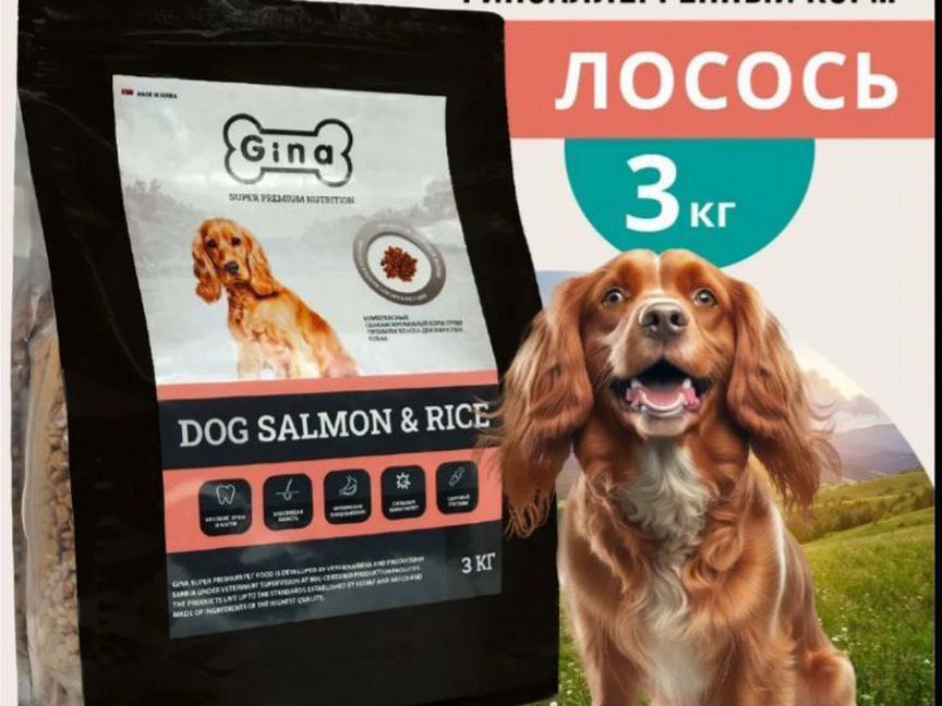 Сухой корм для собак Gina