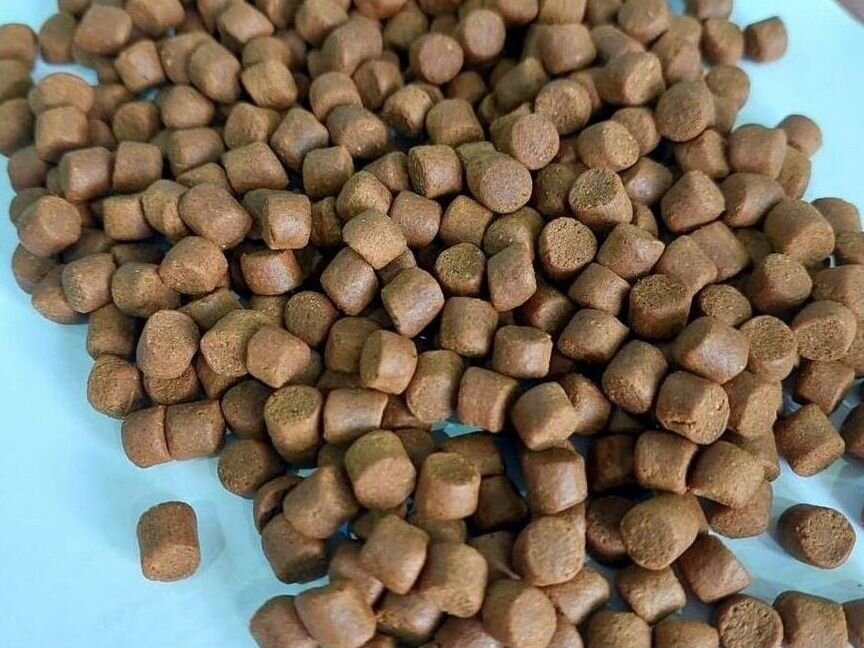 Корм для прудовых рыб