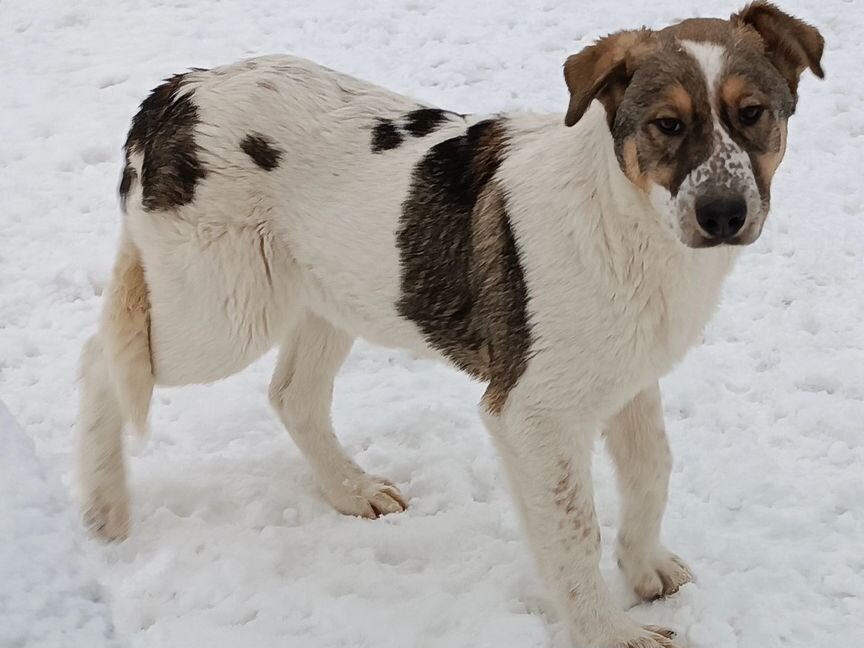 Мартын - малыш, а на вид и не скажешь