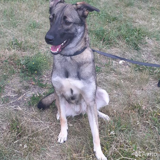 Ищет дом девочка Герда