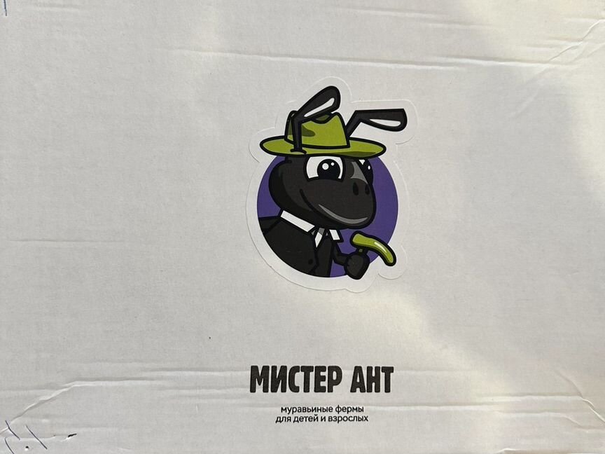 Для муравьиной фермы