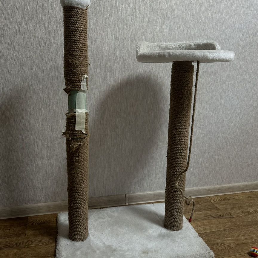 Когтеточка для кошек