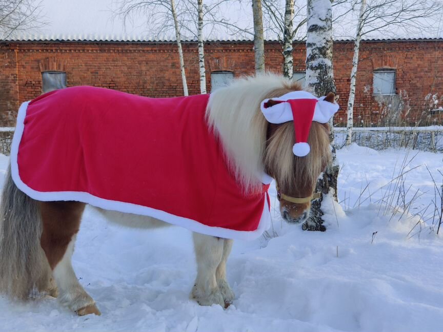 Попона флисовая для лошади