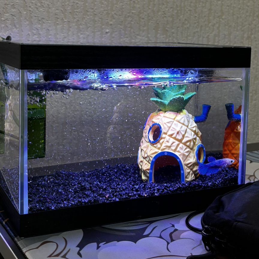 Аквариум 5л