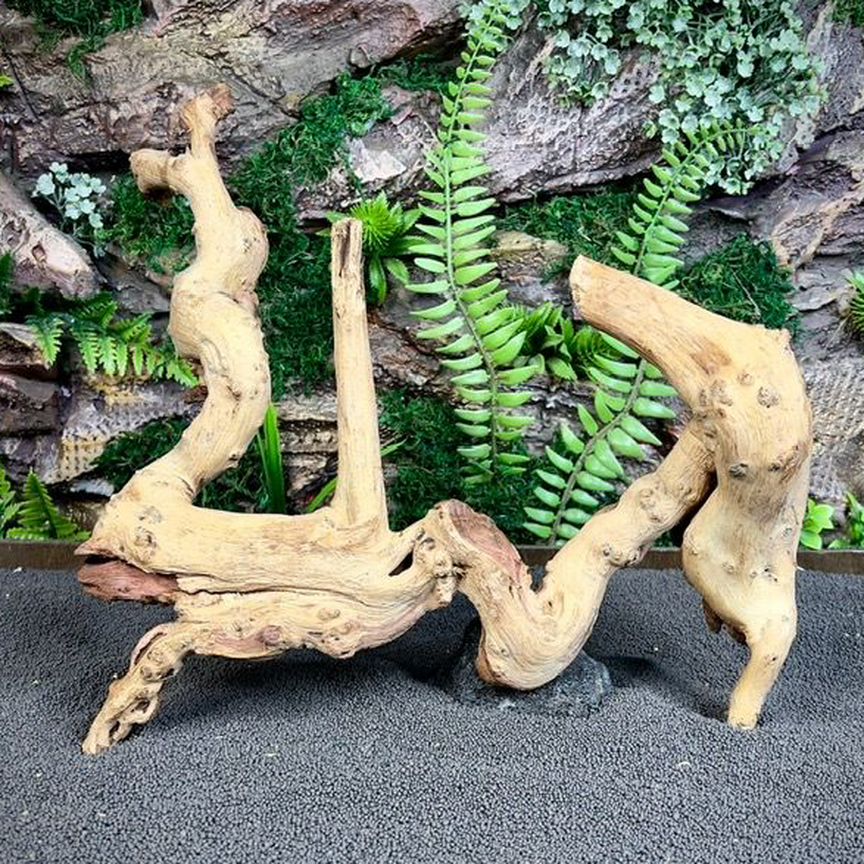 Коралловое дерево/Coral Wood кд689