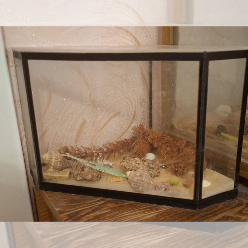 Аквариум для рыбок маленький