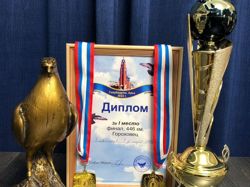 Продажа голубей от знаменитых заводчиков