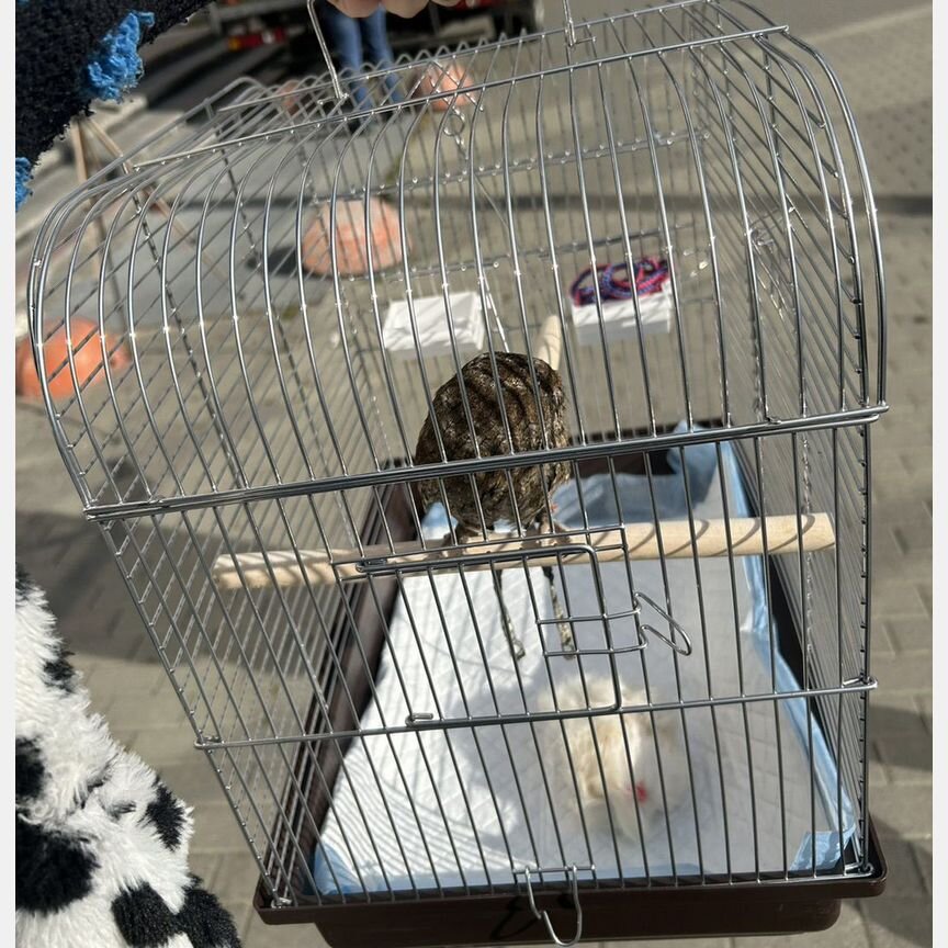 Клетка для птиц