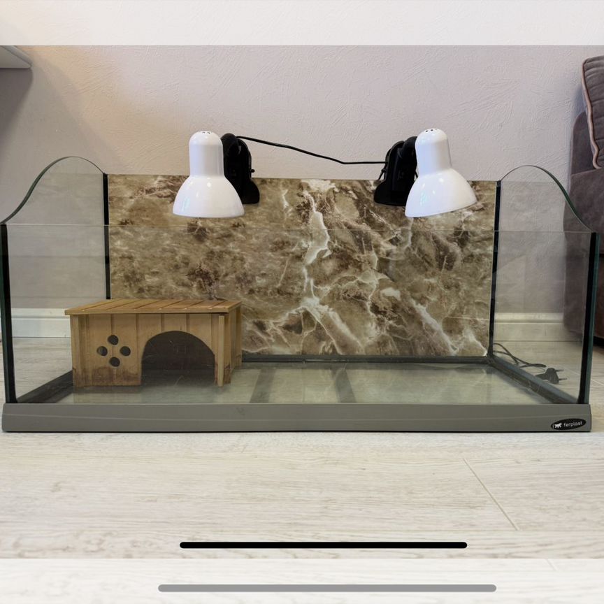 Террариум для сухопутной черепахи