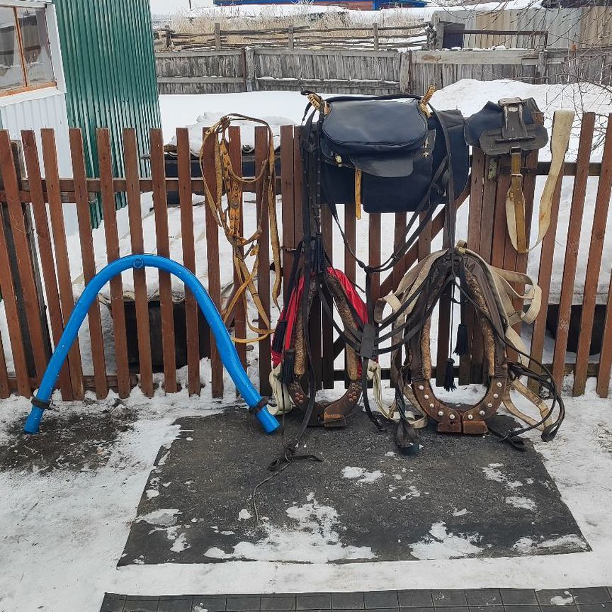 Конная амуниция (збруя)