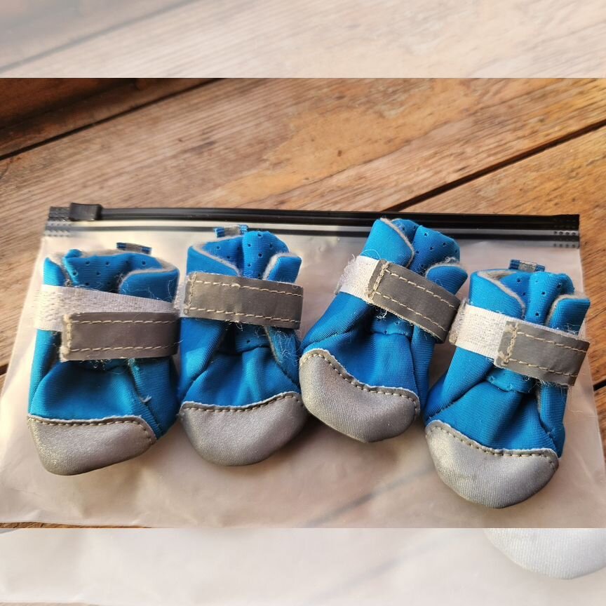 Ботинки для маленьких собак s