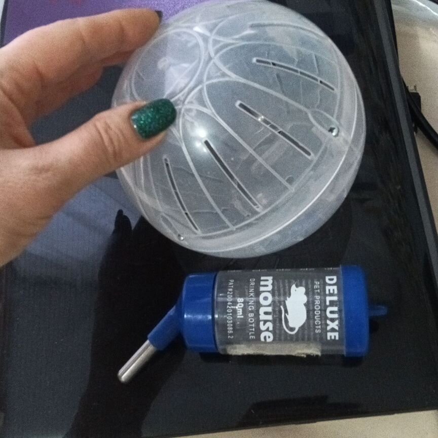 Клетка для джунгарского хомяка