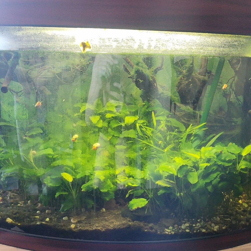 Комплектный аквариум