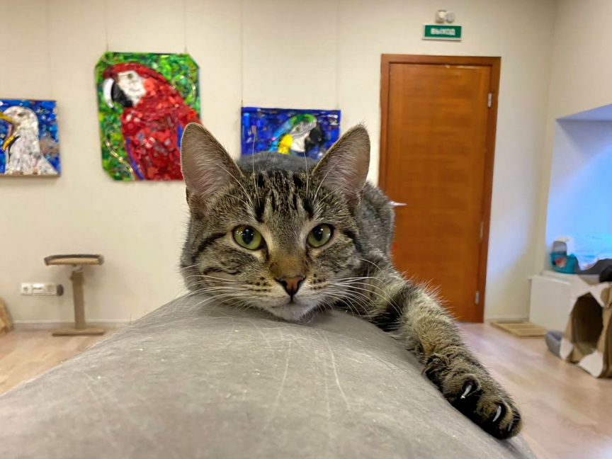 Никто не любит