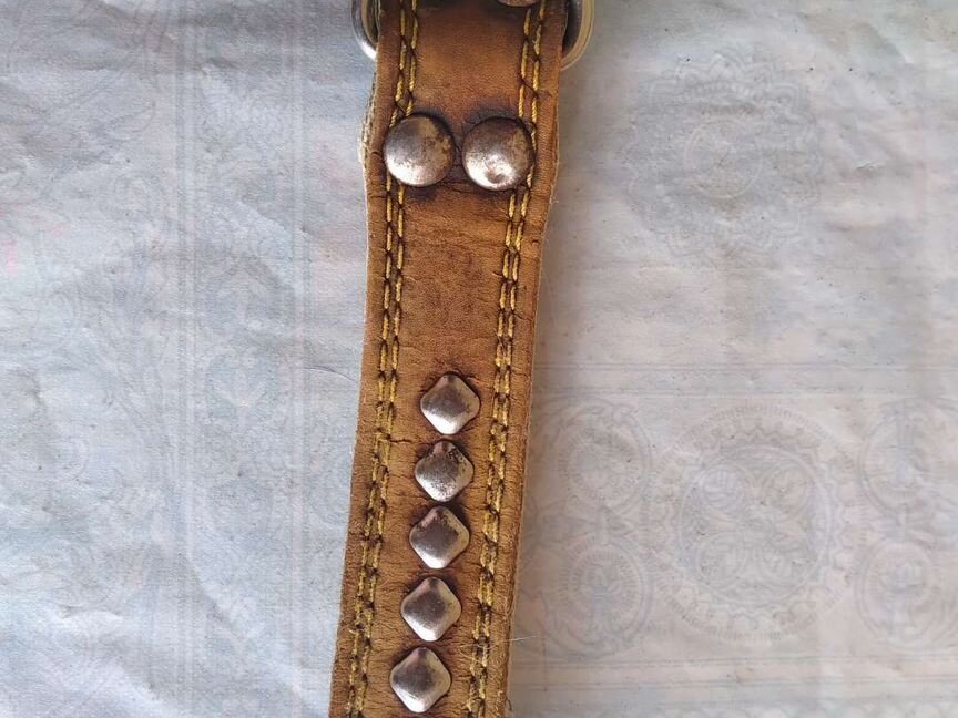 Ошейник на крупную собаку