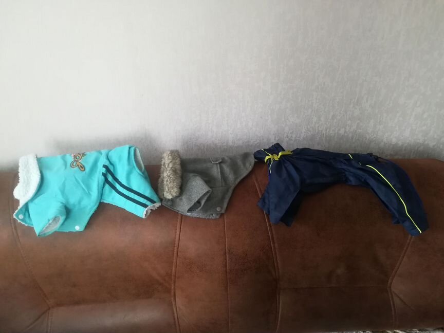 Одежда для собак мелких пород