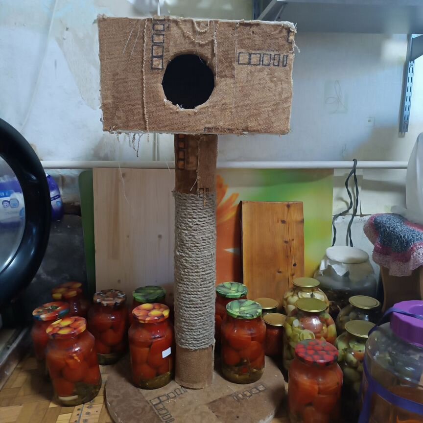 Скворечник домик для котёнка с когтеточкой