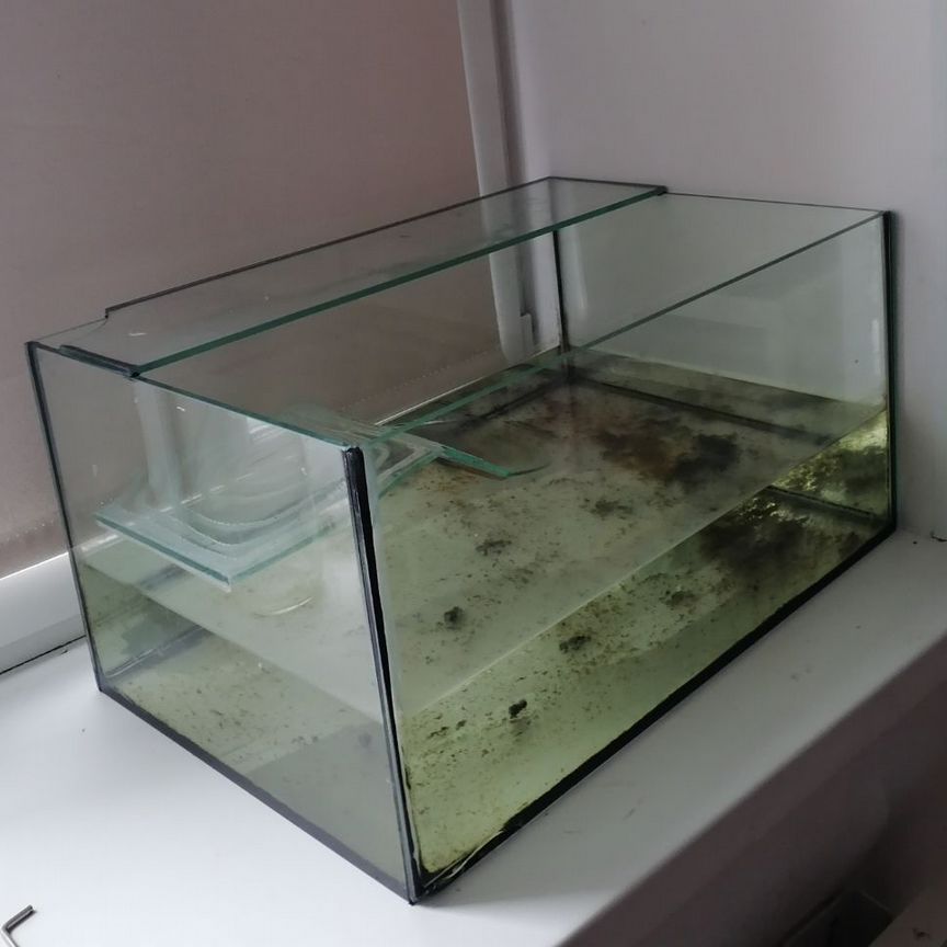 Аквариум для земноводных (черепахи, тритоны.)